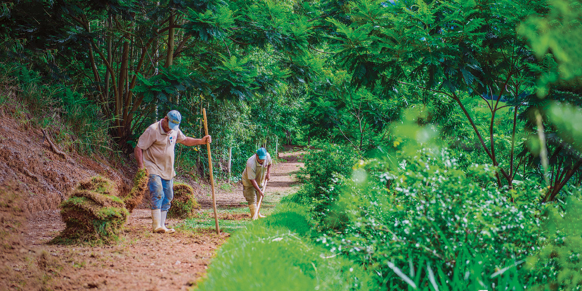 Healthier planet | Britvic plc (LSE: BVIC)